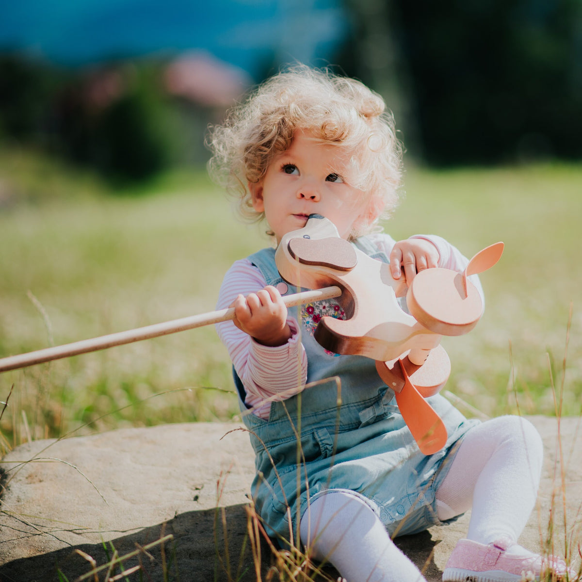 Dog Push Along Toy – PugglePop